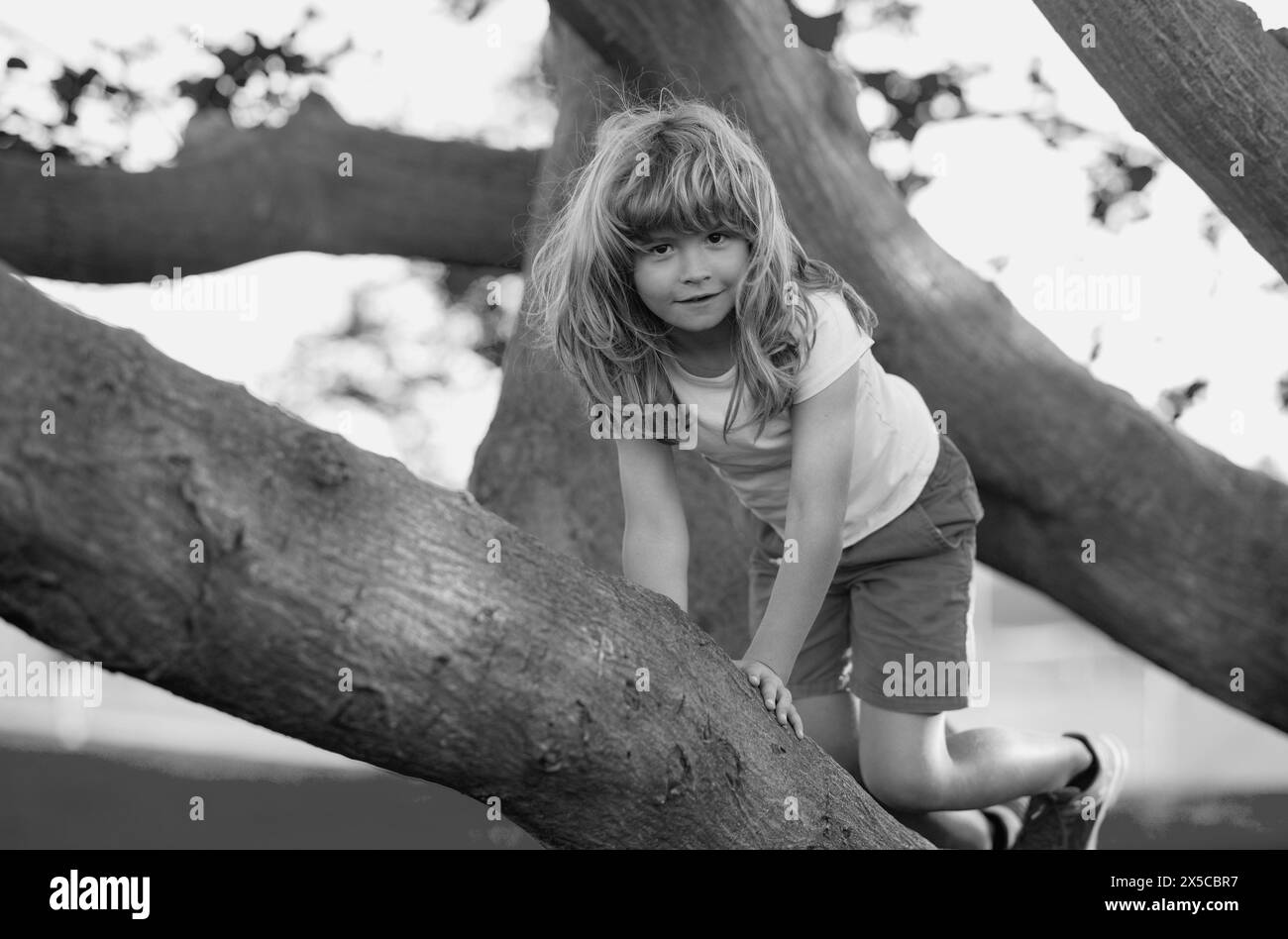 Child hugging a tree branch. Little boy kid on a tree branch. Kid ...
