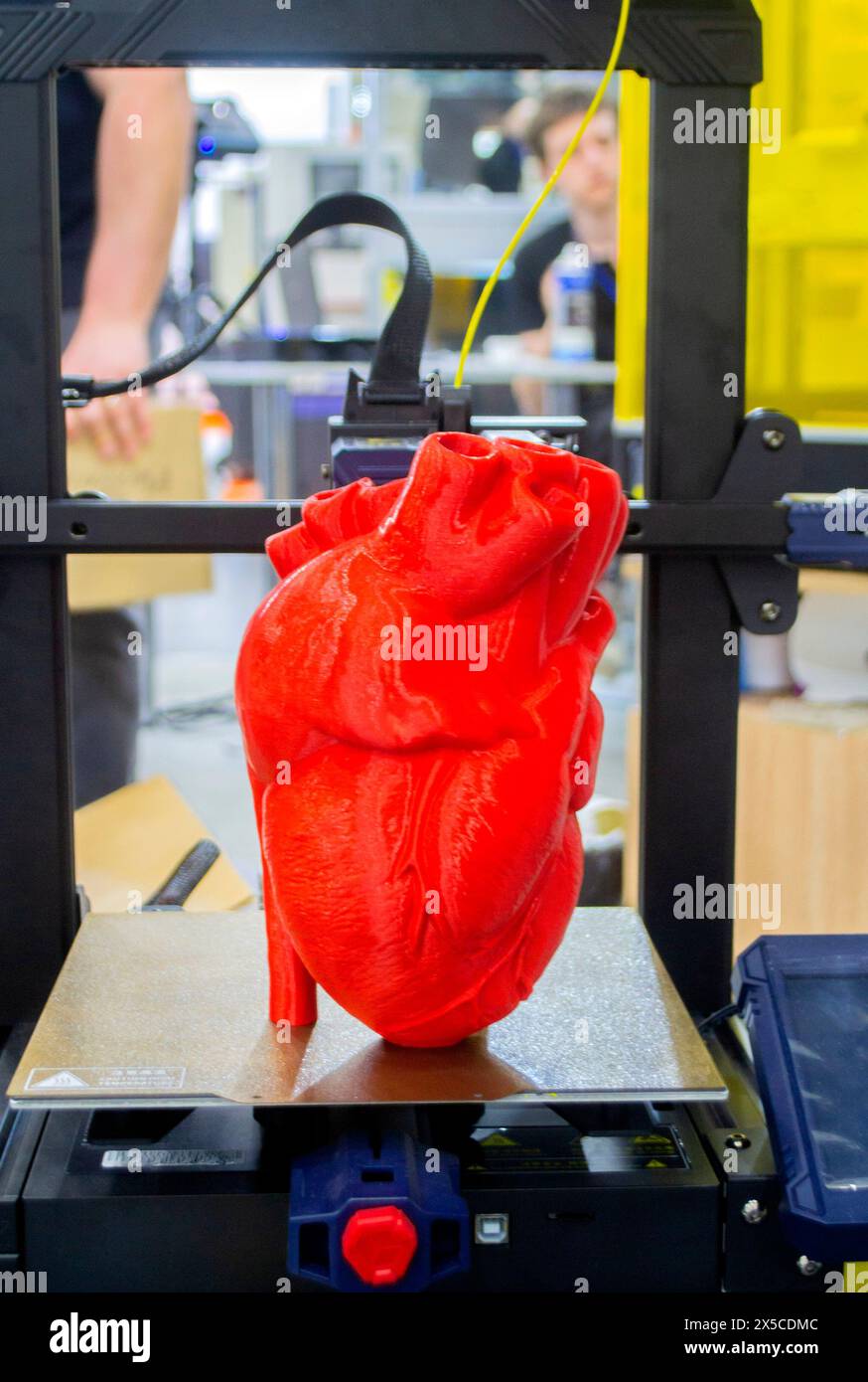 3D printer and model of human heart printed on 3D printer. Red ...