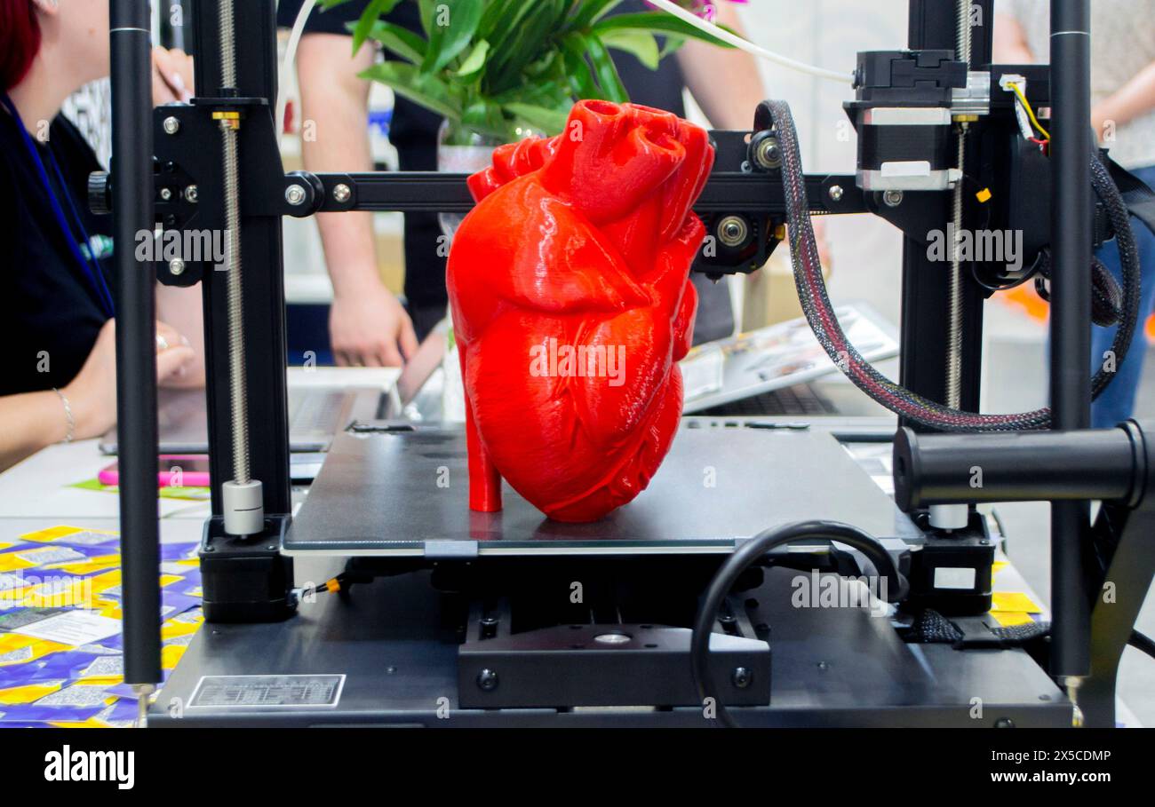 3D printer and model of human heart printed on 3D printer. Red ...