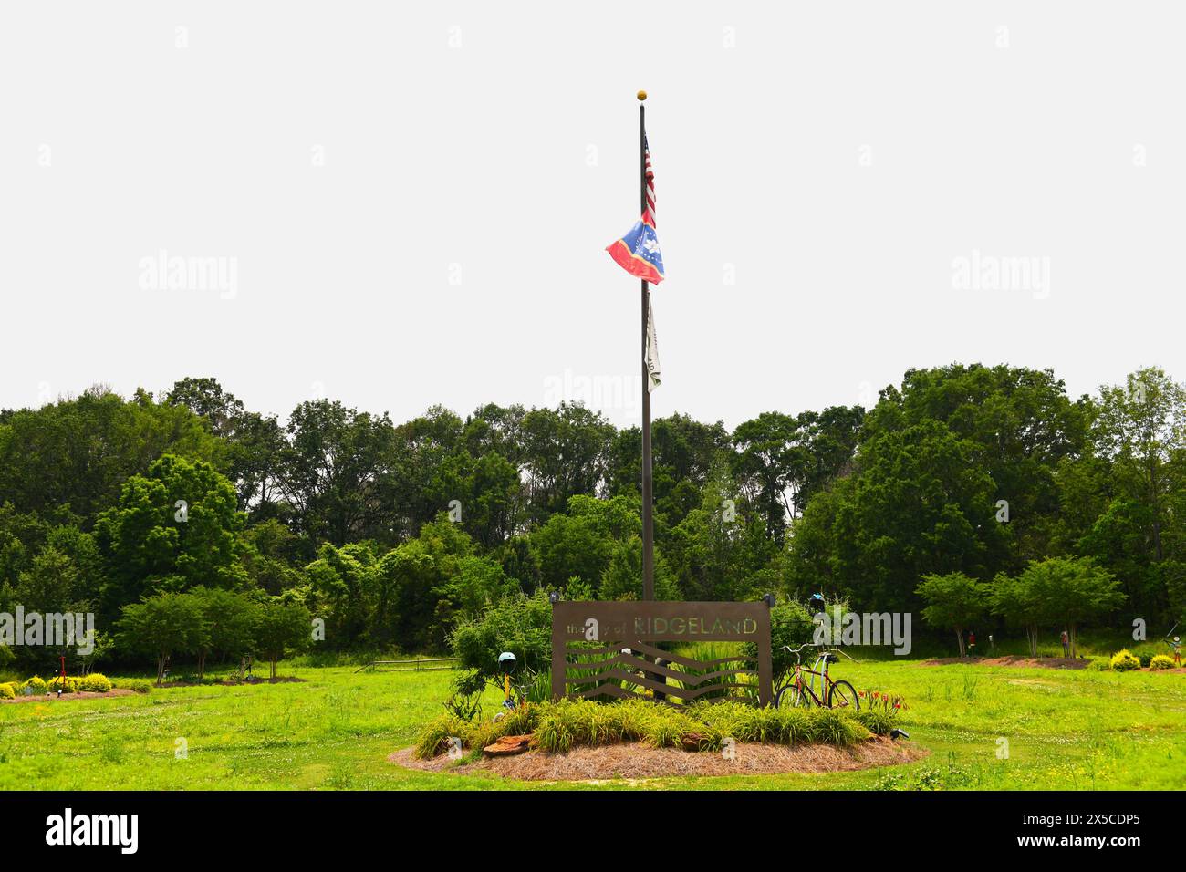 Ridgeland Wildflower Field, Ridgeland, Mississippi Stock Photo - Alamy