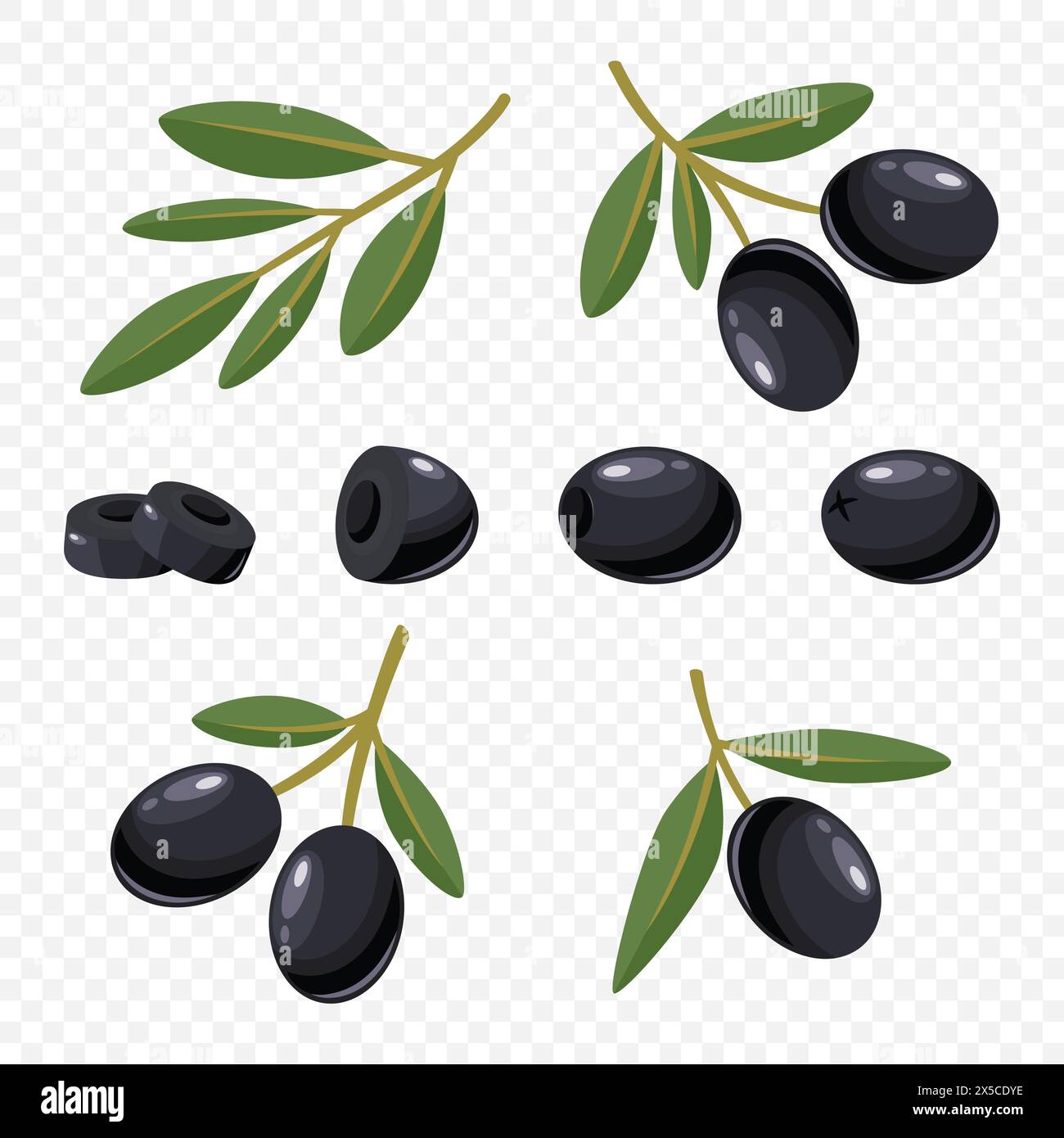 Flat Vector Black Olives and Branch Set. Hand Drawn Olive Tree Berry ...