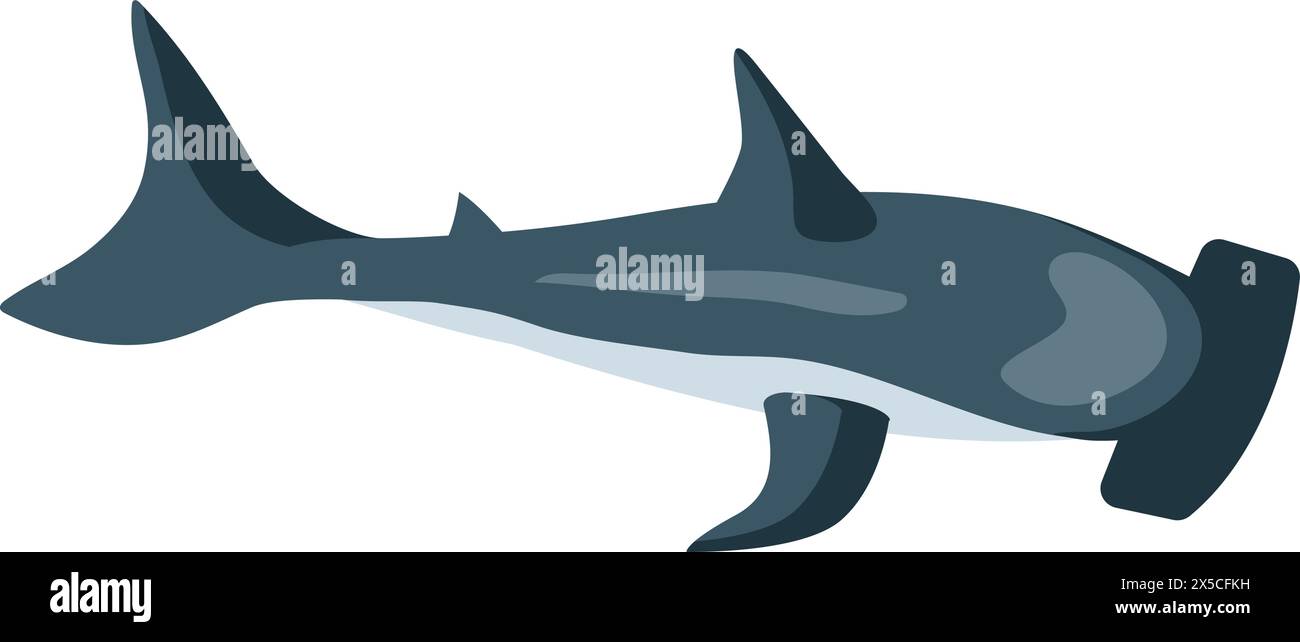 hammerhead shark animal Stock Vector Image & Art - Alamy