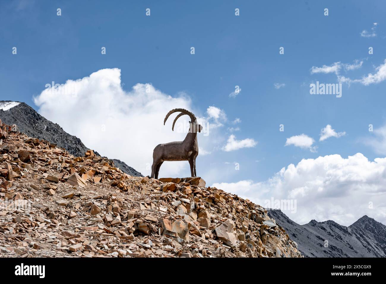 Statue of an Ibex, Tian Shan, Kyrgyzstan Stock Photo - Alamy