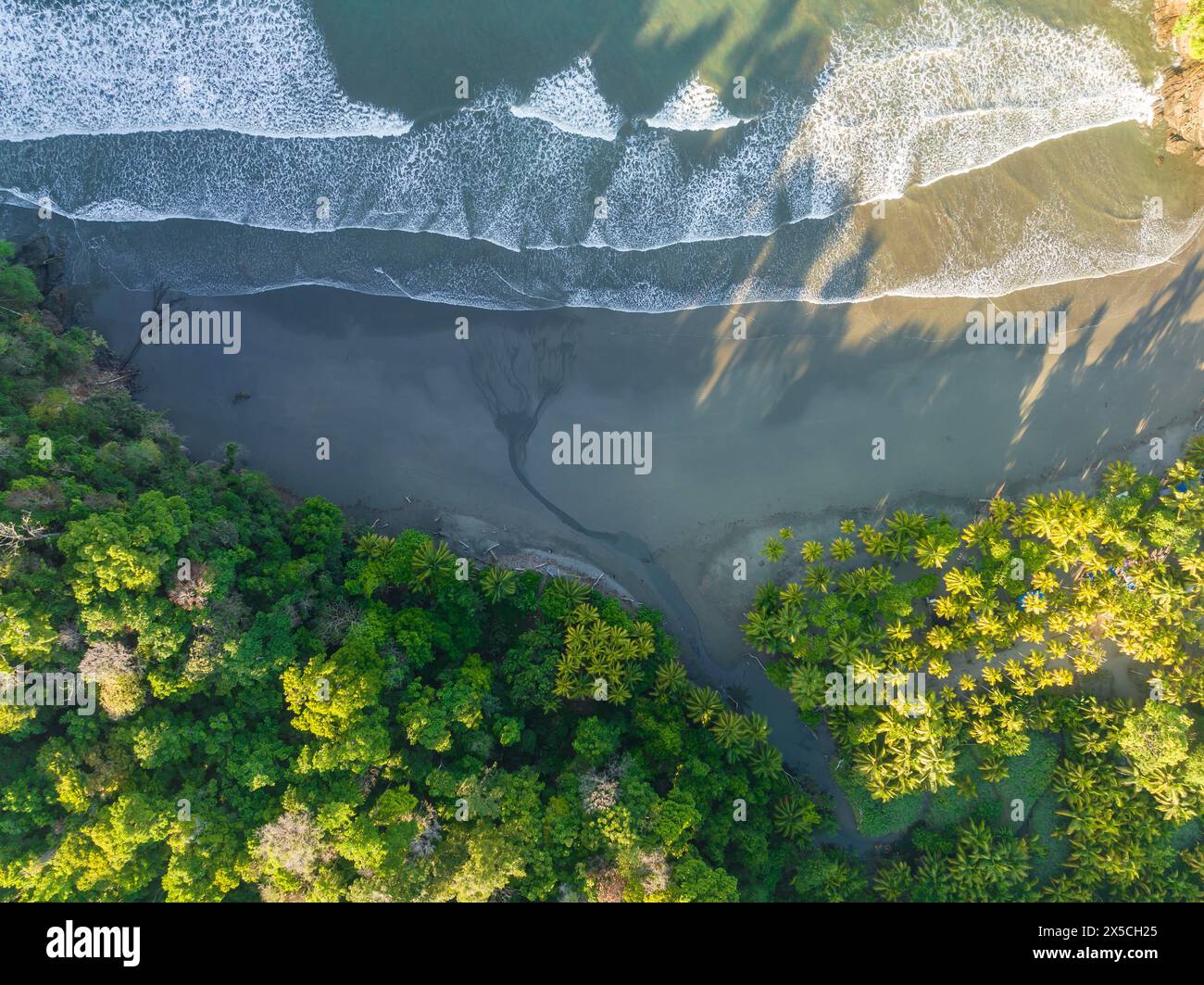Top-down aerial view, ocean and coast with rainforest, Playa Ventanas ...
