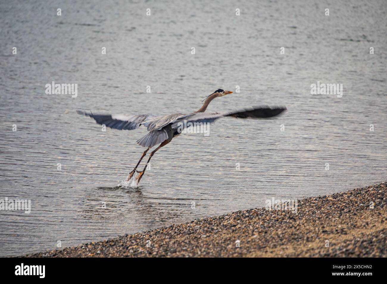 Beautiful peaceful island in bahia hi-res stock photography and images ...