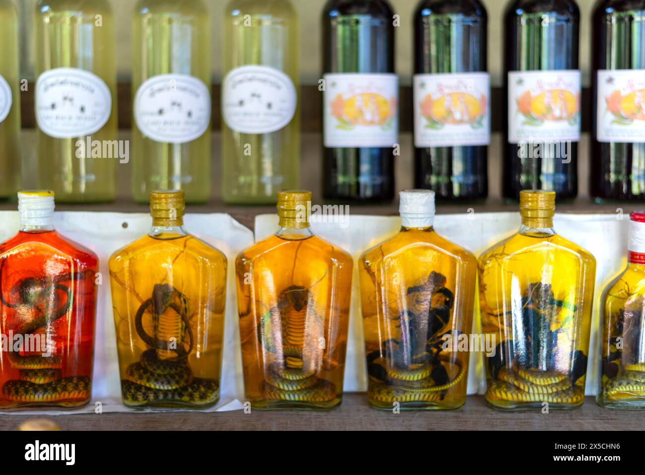Choum, rice liquor, rice wine with pickled scorpions and Snakes for ...