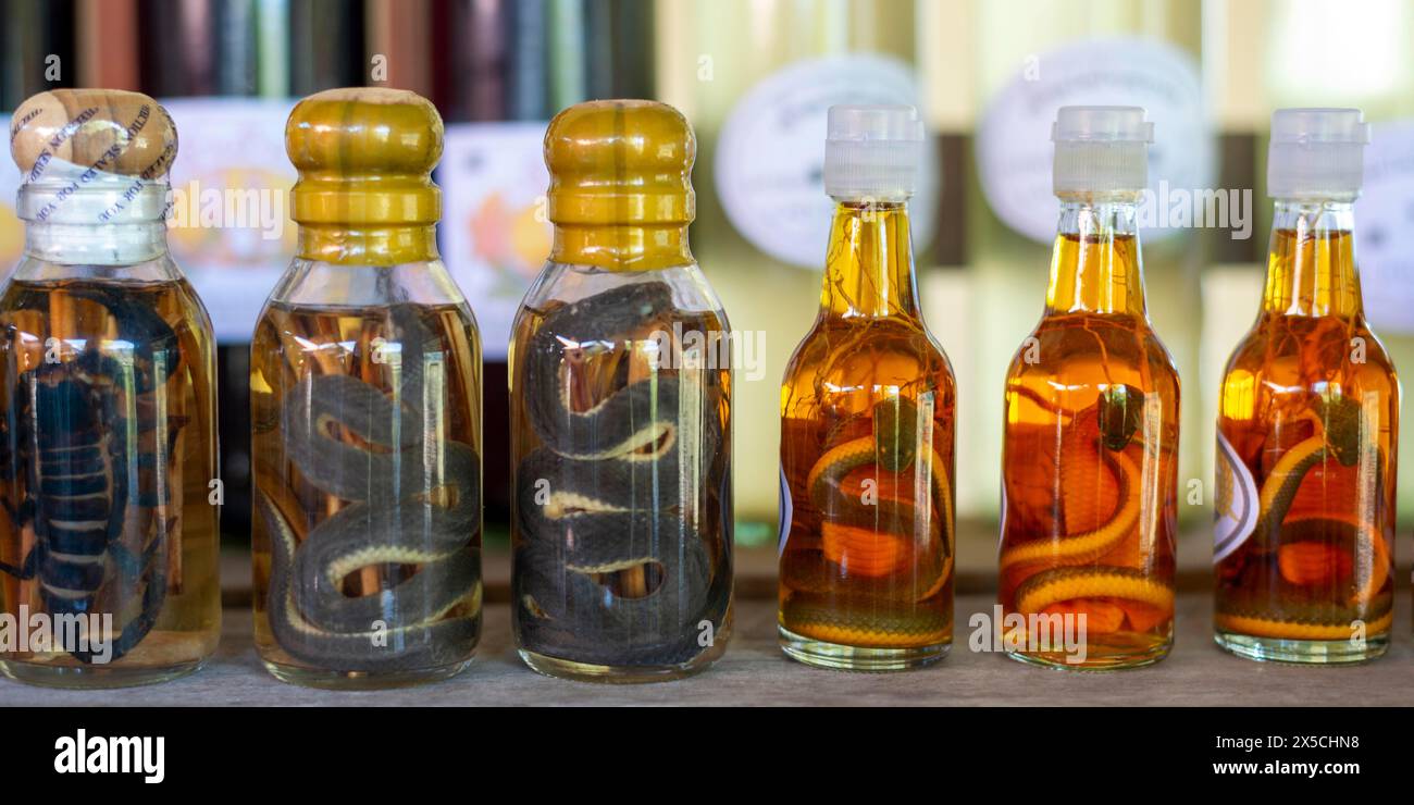 Choum, rice liquor, rice wine with pickled scorpions and Snakes for ...