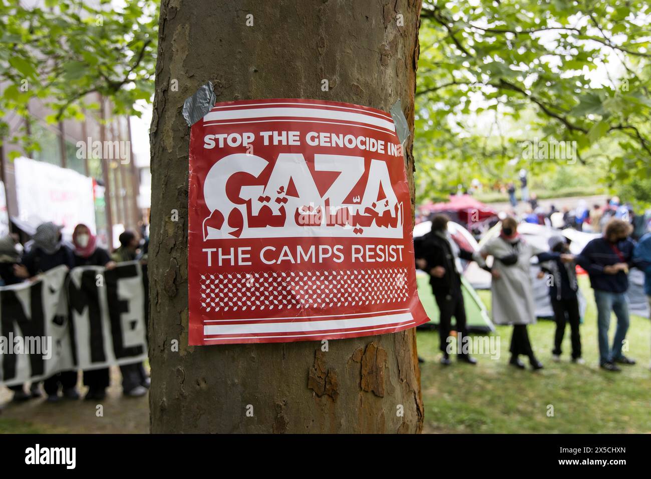 Poster Stop the genocide in Gaza / The camps resist on a tree in front ...