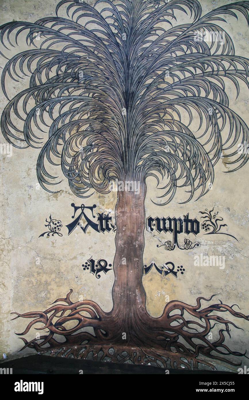 Painting in the archway, tree, trunk, roots, tree crown, pictorial ...