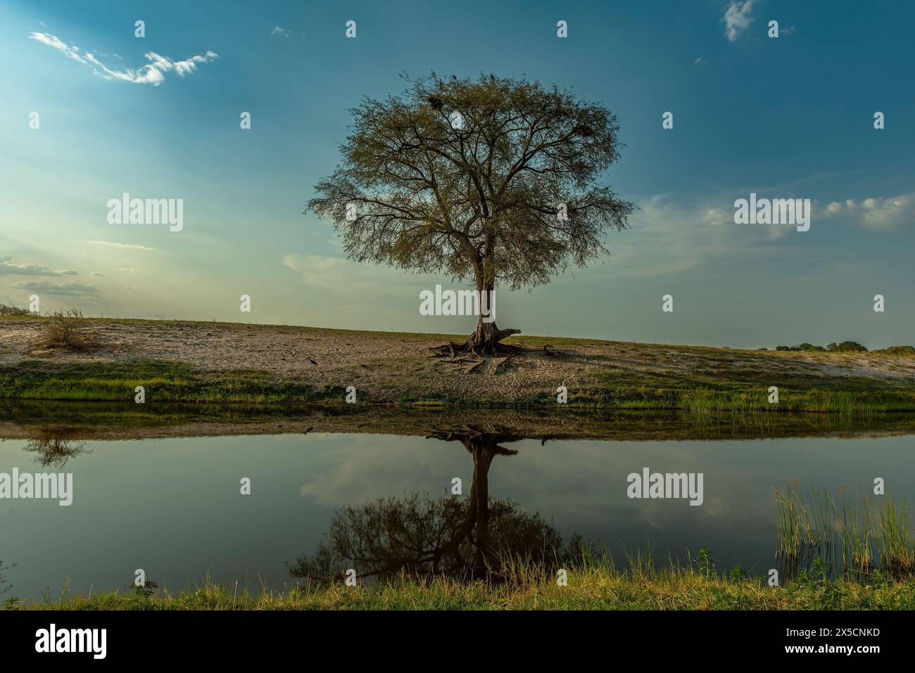 Botswana landscape panorama hi-res stock photography and images - Alamy