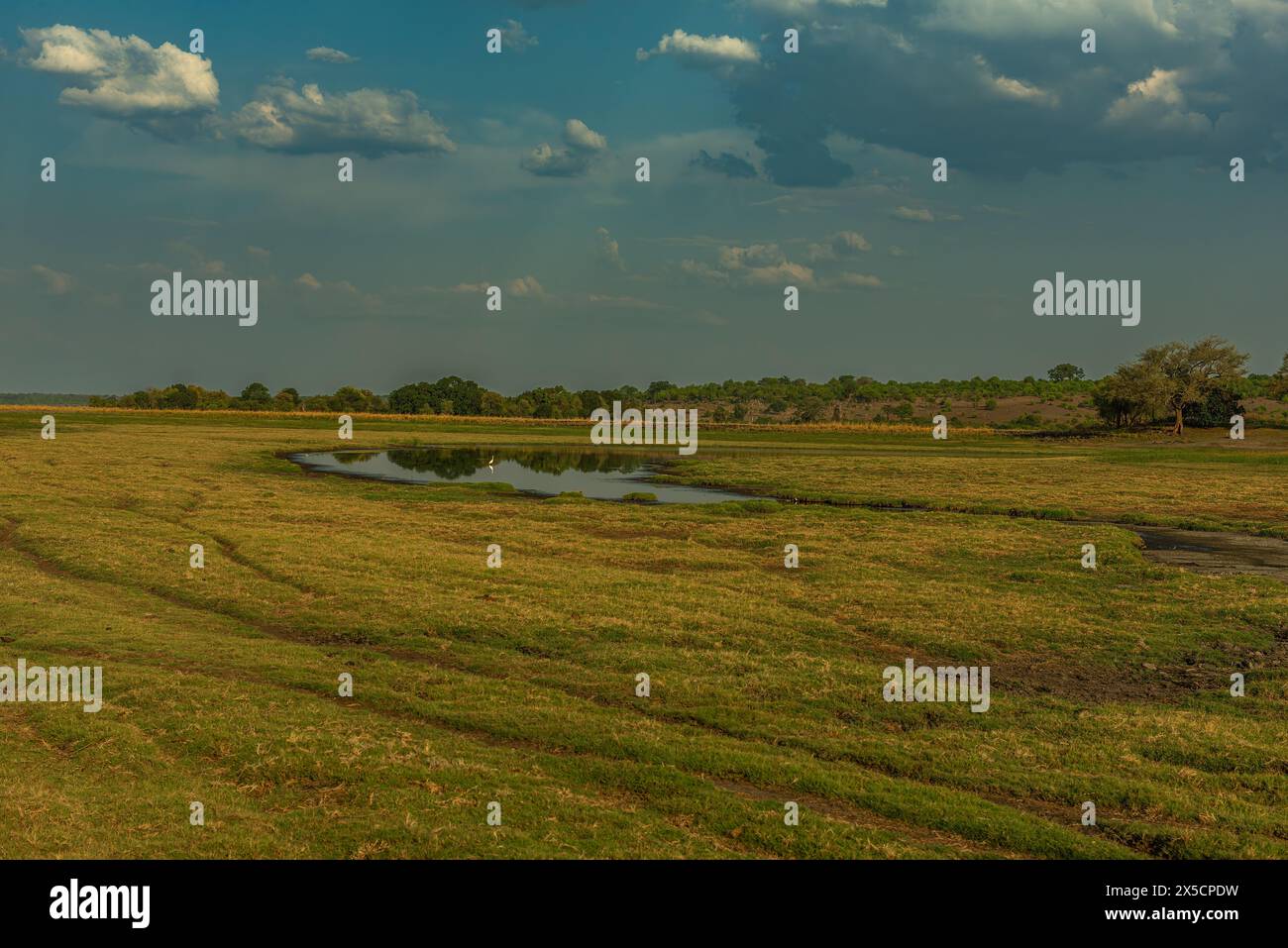 View of the landscape at the Chobe River in Botswana Stock Photo - Alamy