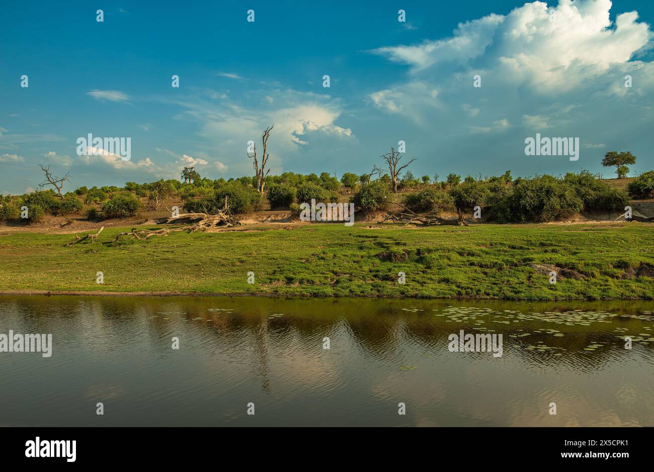 Chobe river national park hi-res stock photography and images - Alamy