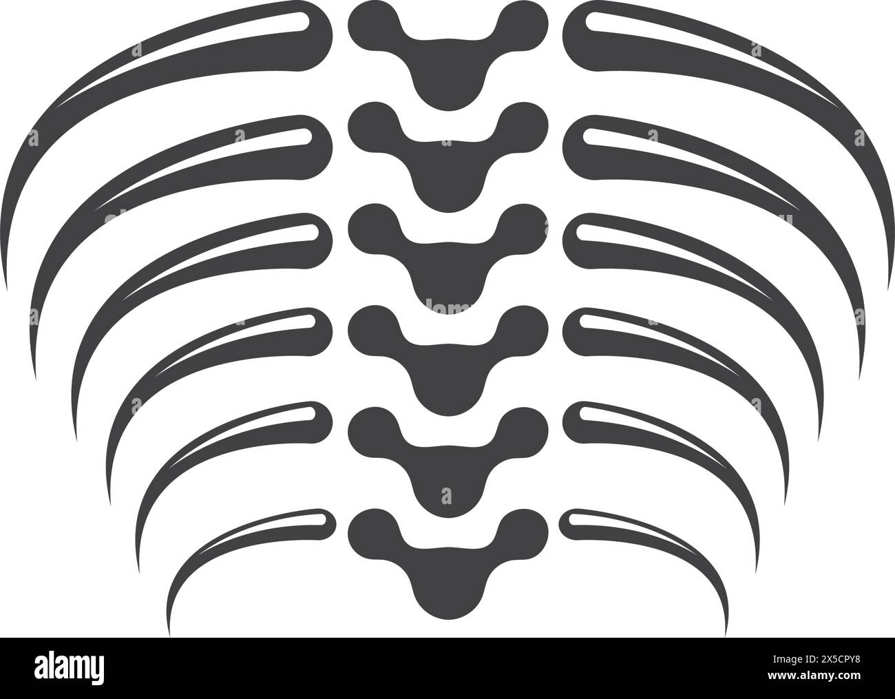 Skeletal system front view Stock Vector Images - Alamy