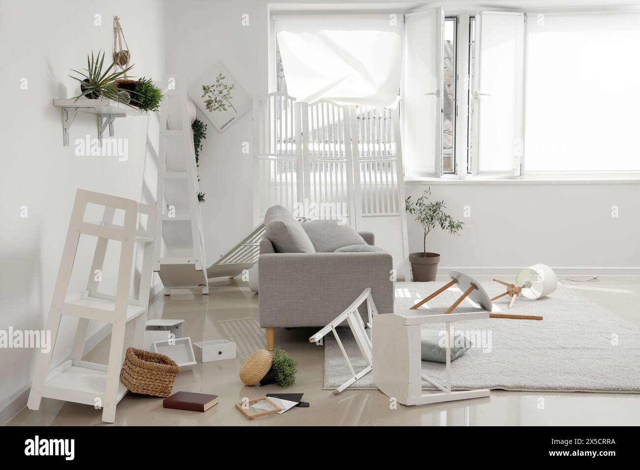 Interior of messy living room with sofa, shelves and plants Stock Photo ...