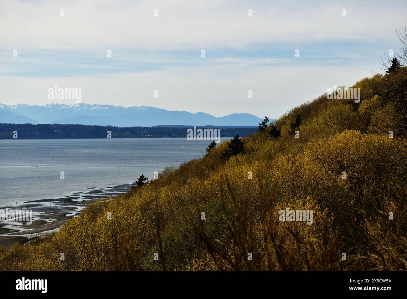 Seattle discovery park hi-res stock photography and images - Alamy