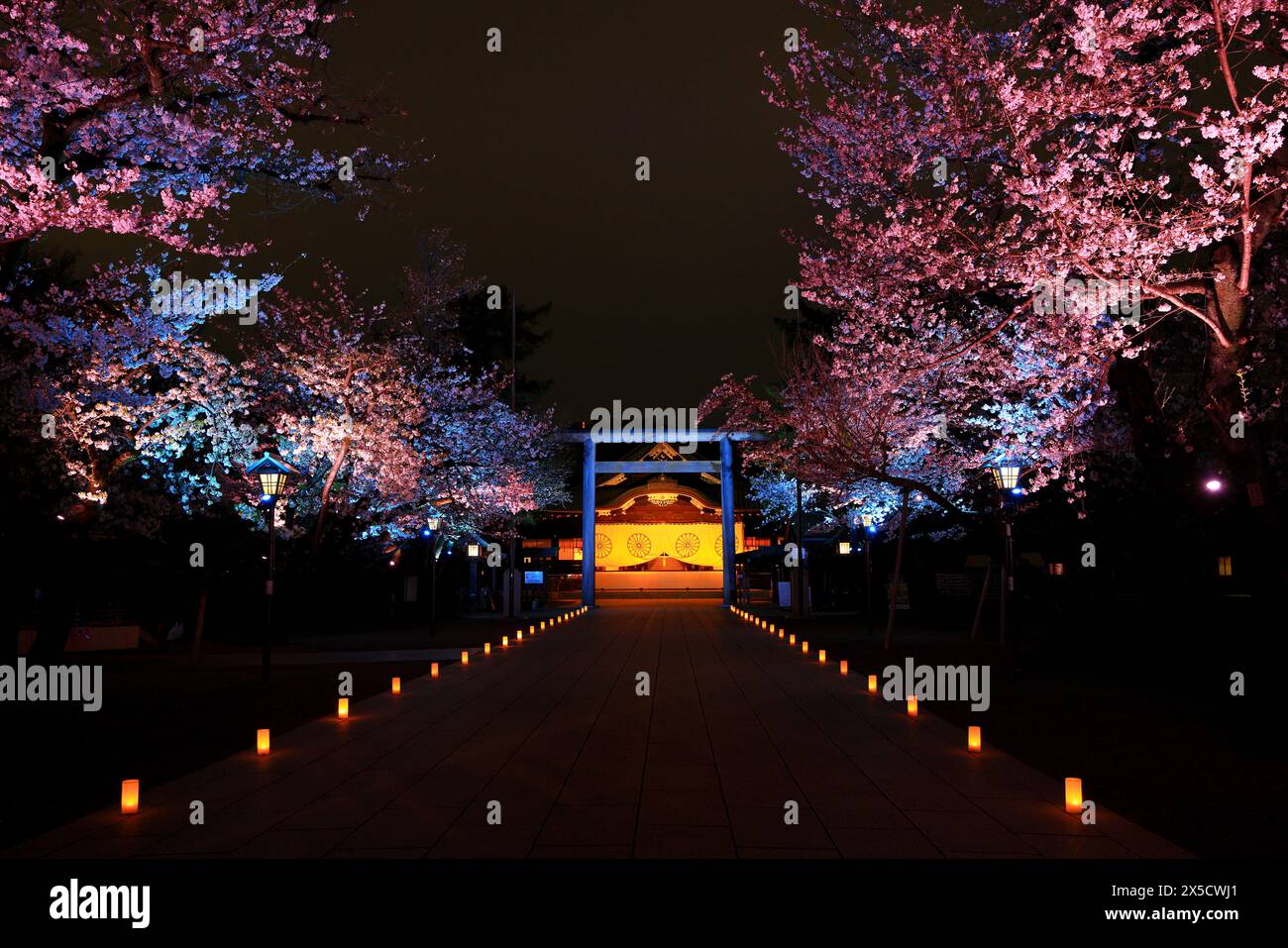 Yasukuni Jinja (Shinto-style shrine) with spring cherry blossom (sakura ...