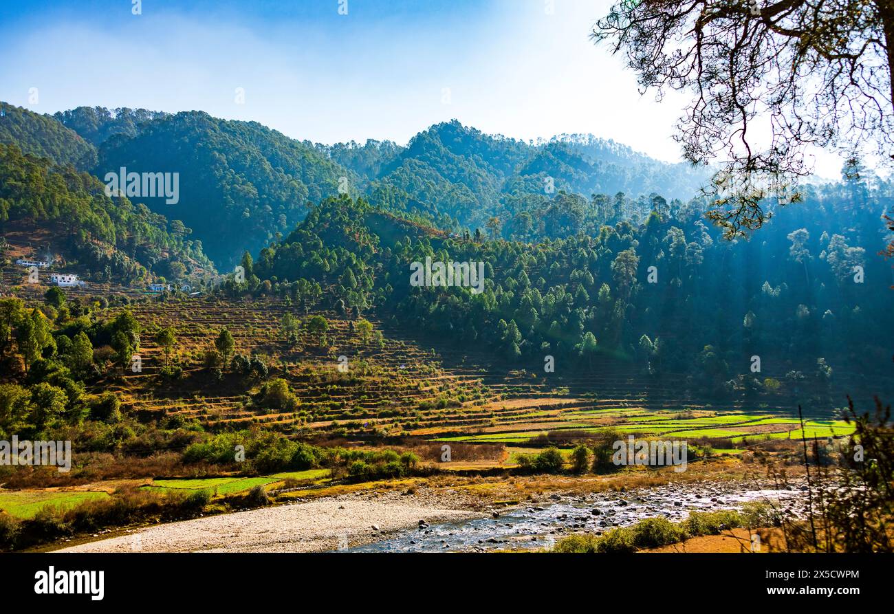 Himalayan villages and terrace farms in and around Almora and Ranikhet ...