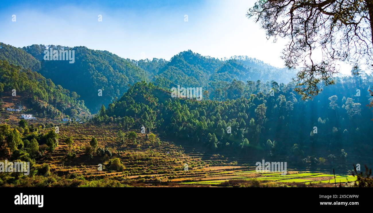 Himalayan villages and terrace farms in and around Almora and Ranikhet ...