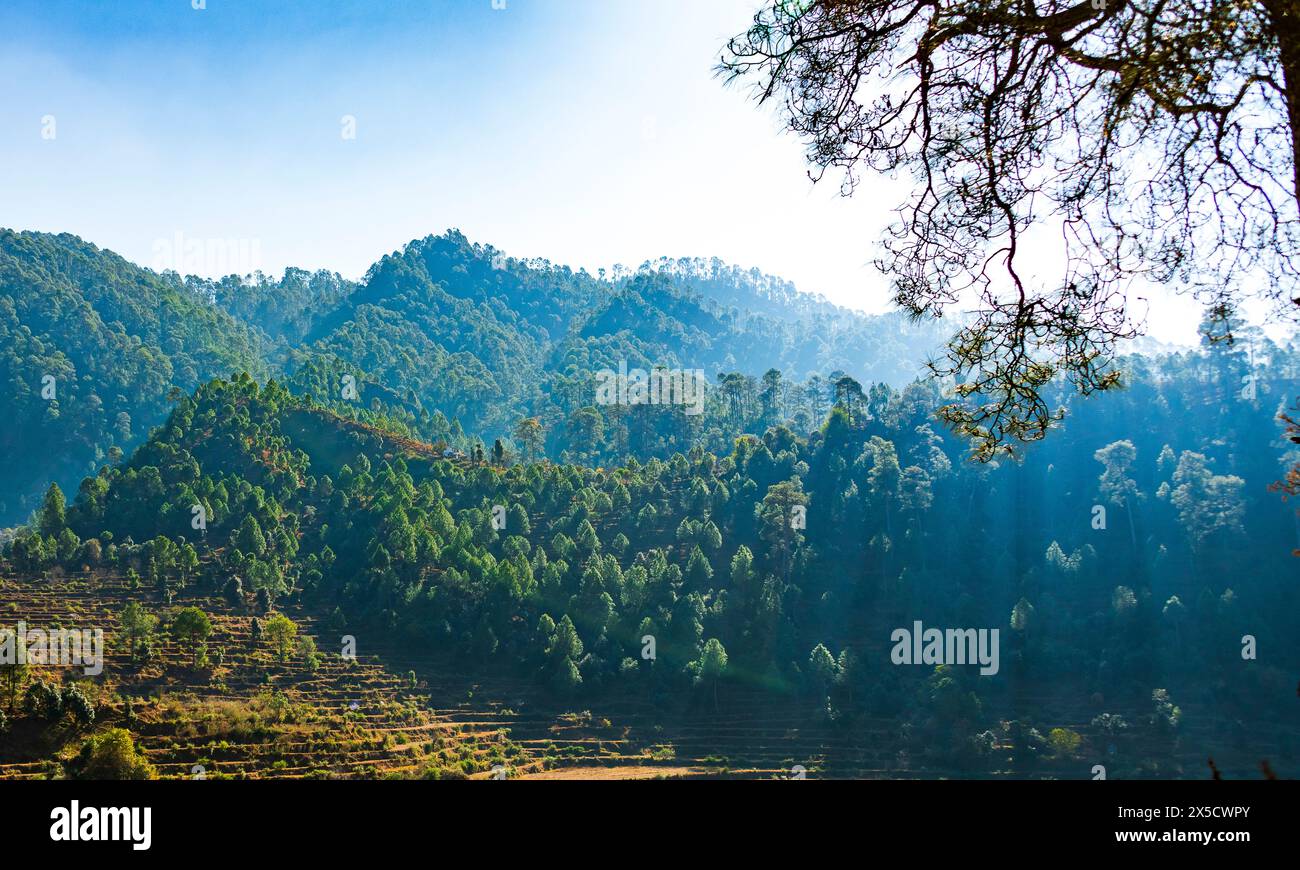 Himalayan villages and terrace farms in and around Almora and Ranikhet ...