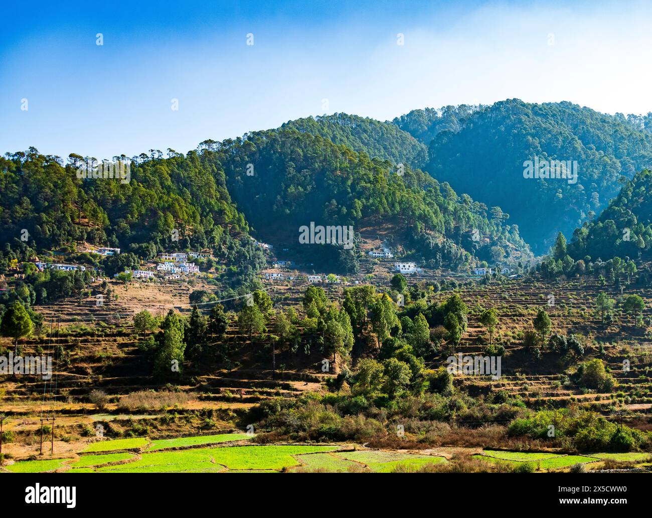 Himalayan villages and terrace farms in and around Almora and Ranikhet ...