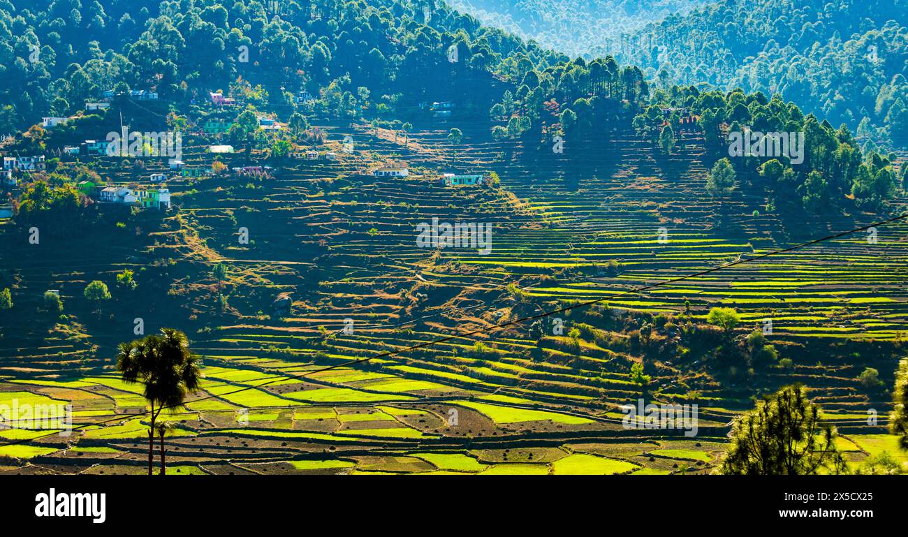 Colors of Nature in Himalaya Stock Photo - Alamy