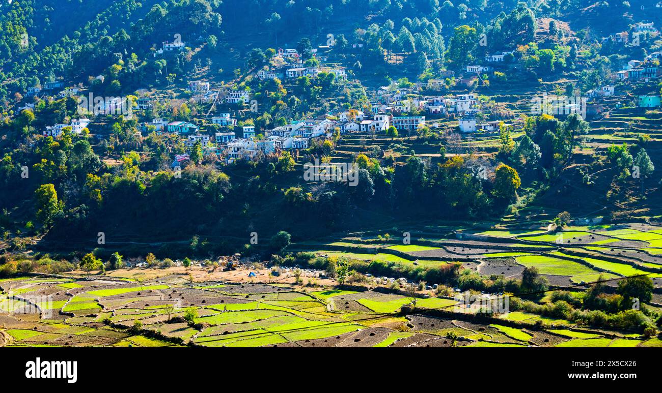 Colors of Nature in Himalaya Stock Photo - Alamy