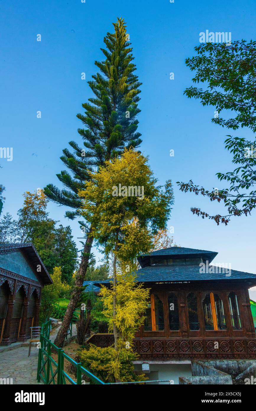 Colors of Nature in Himalaya Stock Photo - Alamy