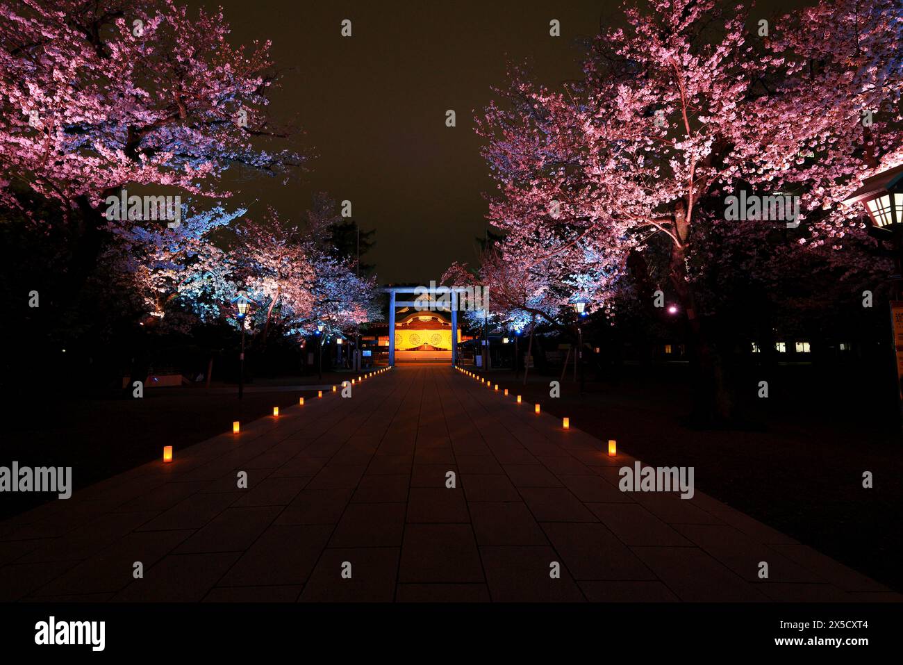 Yasukuni Jinja (Shinto-style shrine) with spring cherry blossom (sakura ...