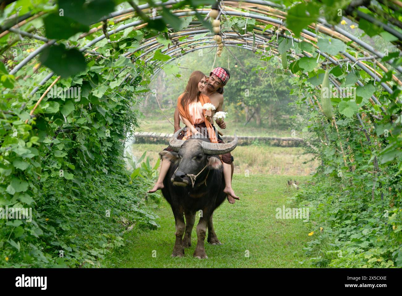 Couple love of Asian Young man and women riding Buffalo in natural ...