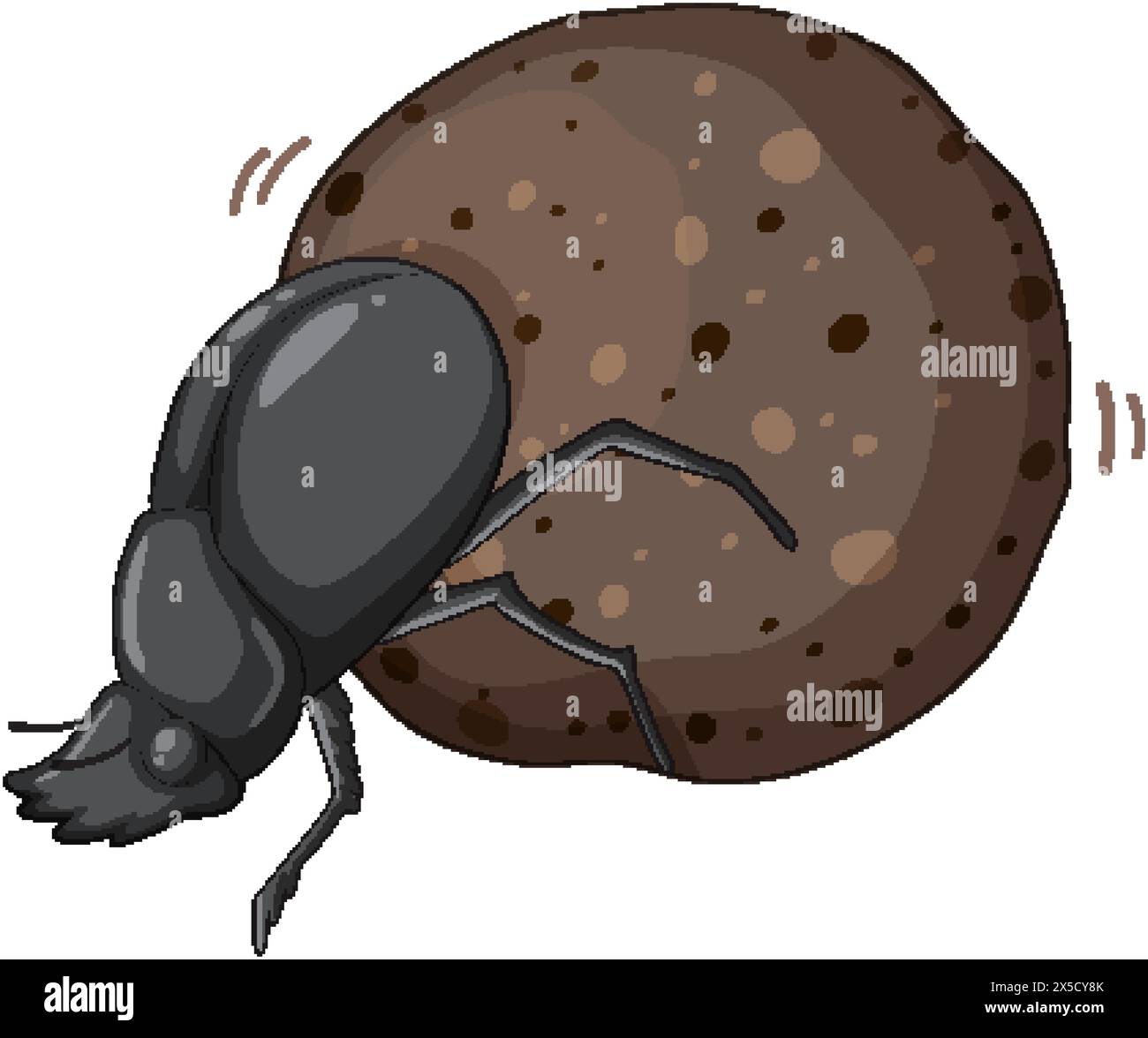 Insect determination Cut Out Stock Images & Pictures - Alamy