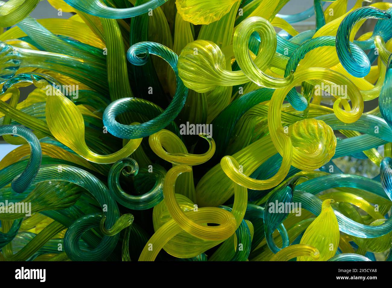 Detail of "The Huntington Museum of Art Tower” by Dale Chihuly at the ...