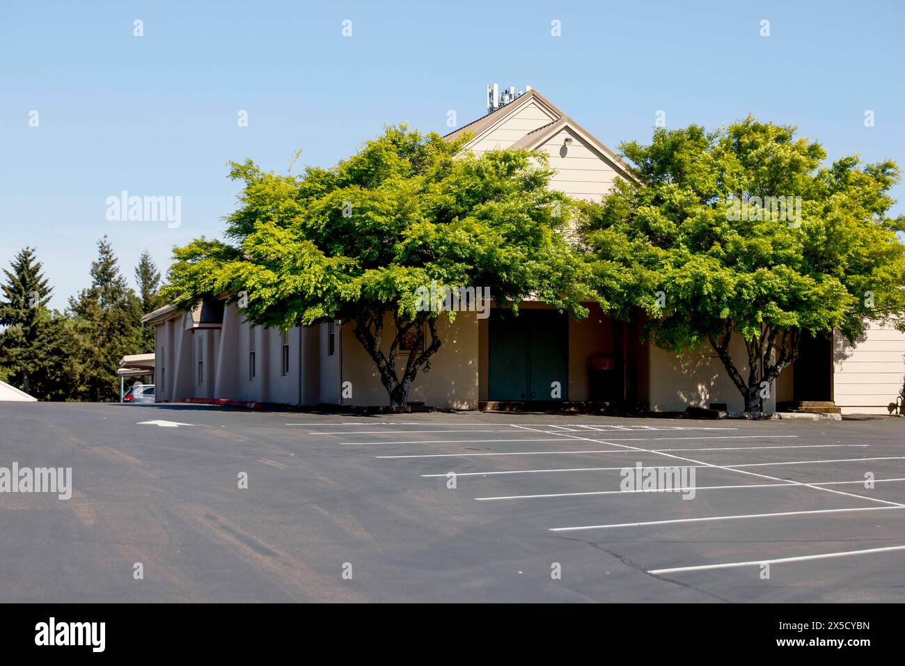 Taylor kayleen edwards hi-res stock photography and images - Alamy