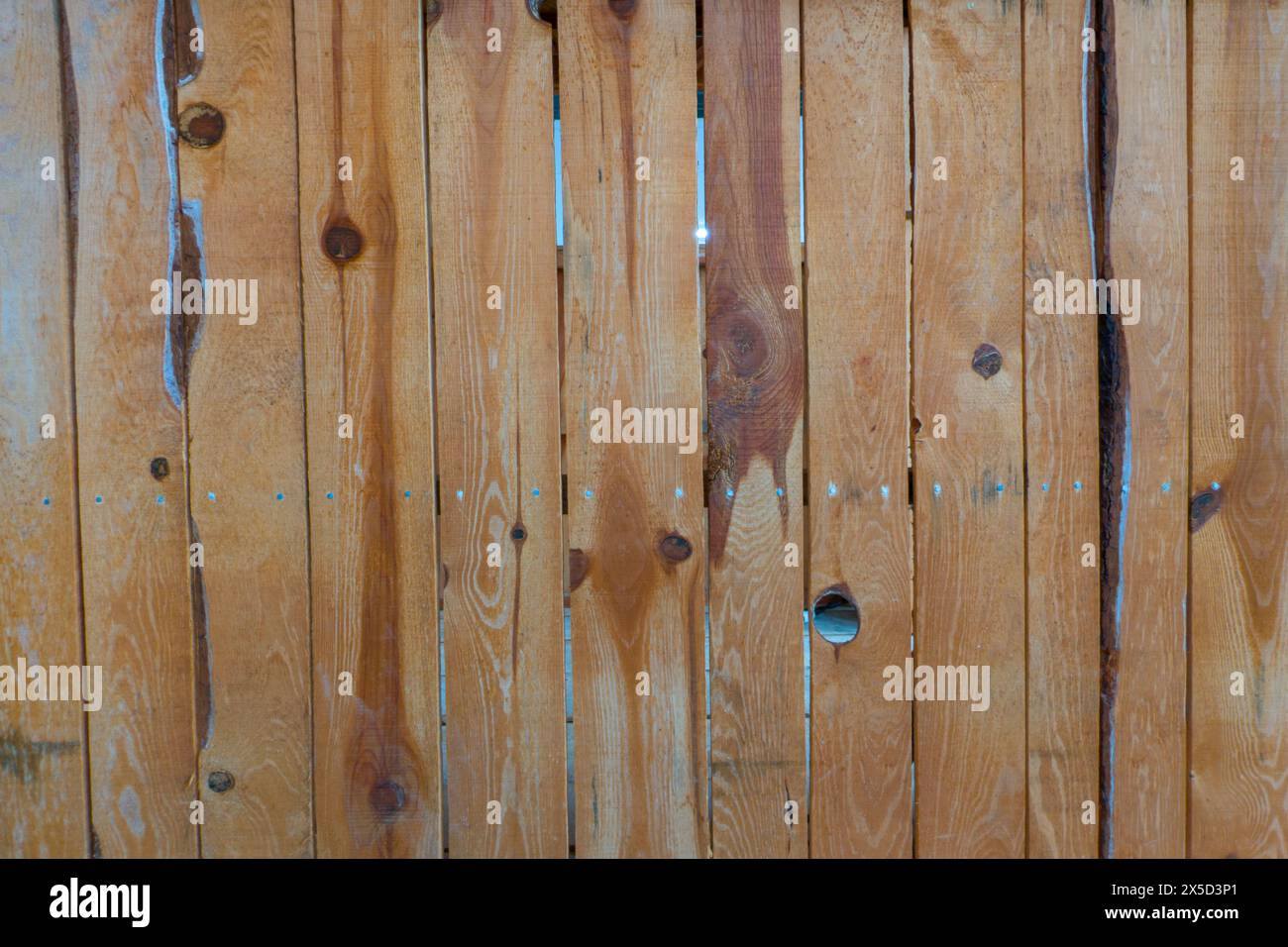 Brown wooden vertical natural pine plank wall texture background ...