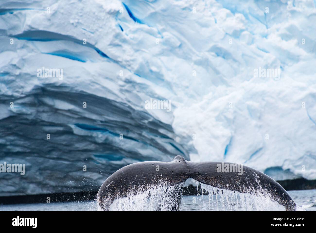 Charlotte graham photography hi-res stock photography and images - Alamy