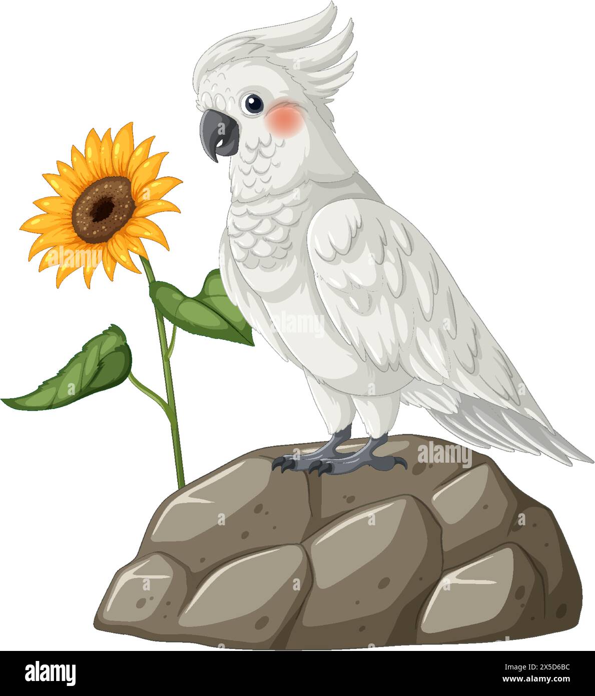 Illustration of a white cockatoo beside a sunflower Stock Vector Image ...