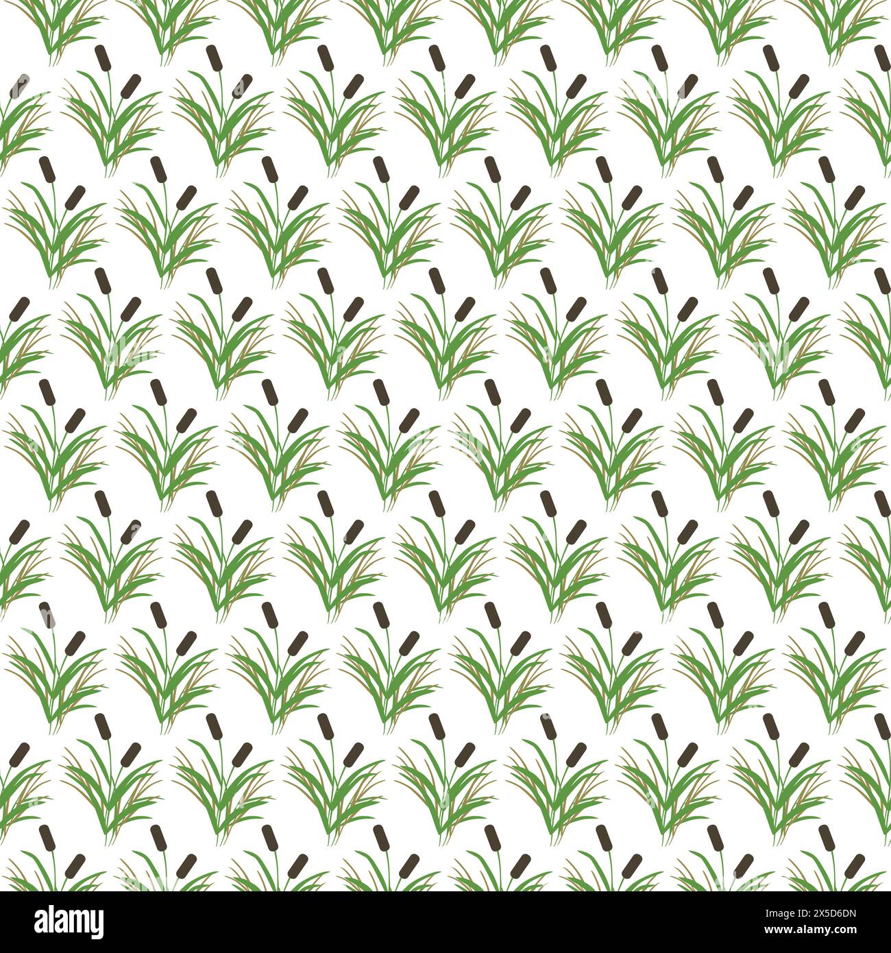 Swamp reeds, simple grass. Seamless pattern. Vector illustration Stock ...