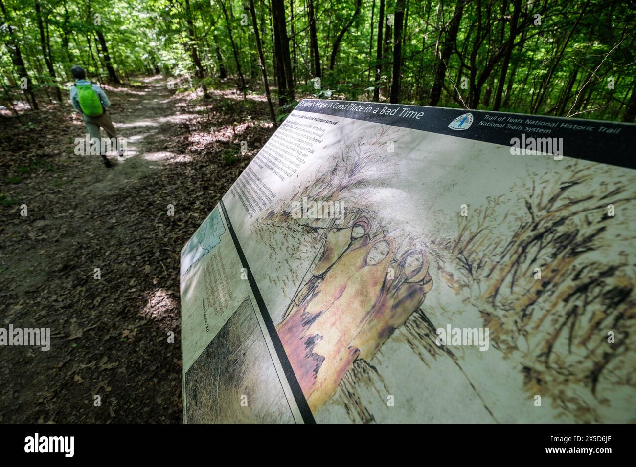 The military road in Village Creek State Park in northwest Arkansas ...