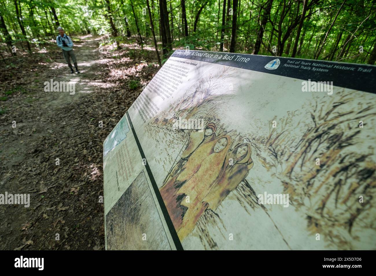 The military road in Village Creek State Park in northwest Arkansas ...