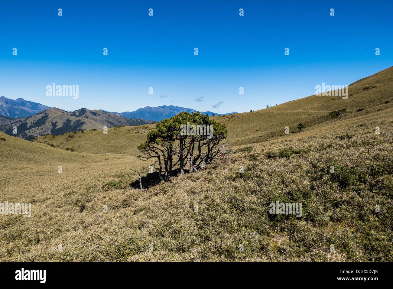 Trekking the Jiaming Lake Trail, Taitung, Taiwan Stock Photo - Alamy