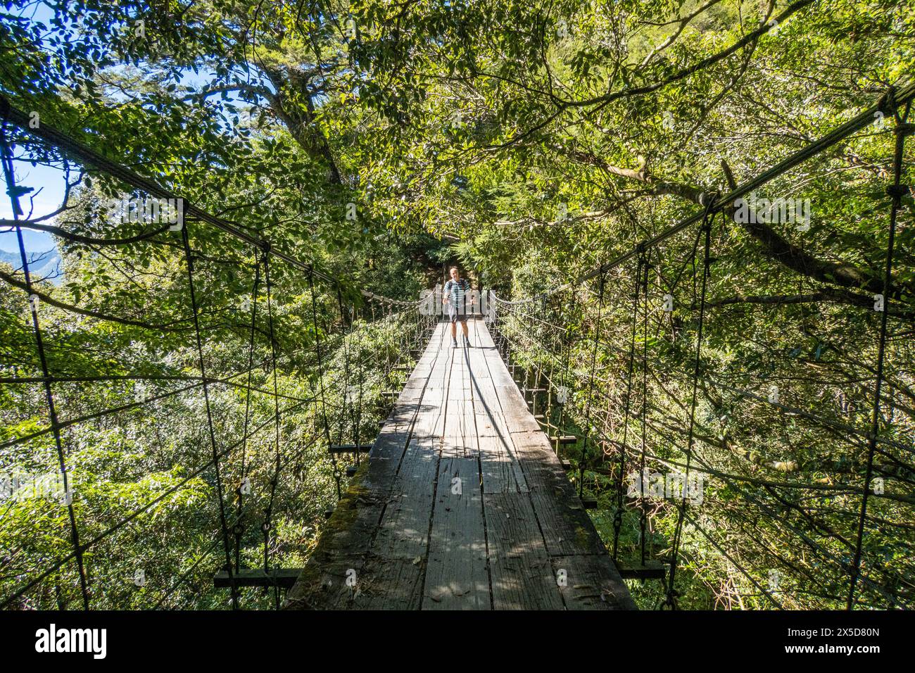 Crossing a suspension bridge on the Nenggao Historical Trail, Nantou ...