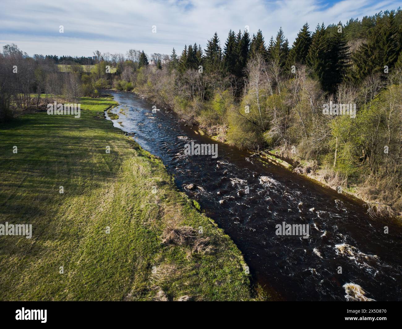 Nature of Estonia. The Pirita River flows through the forest in spring ...