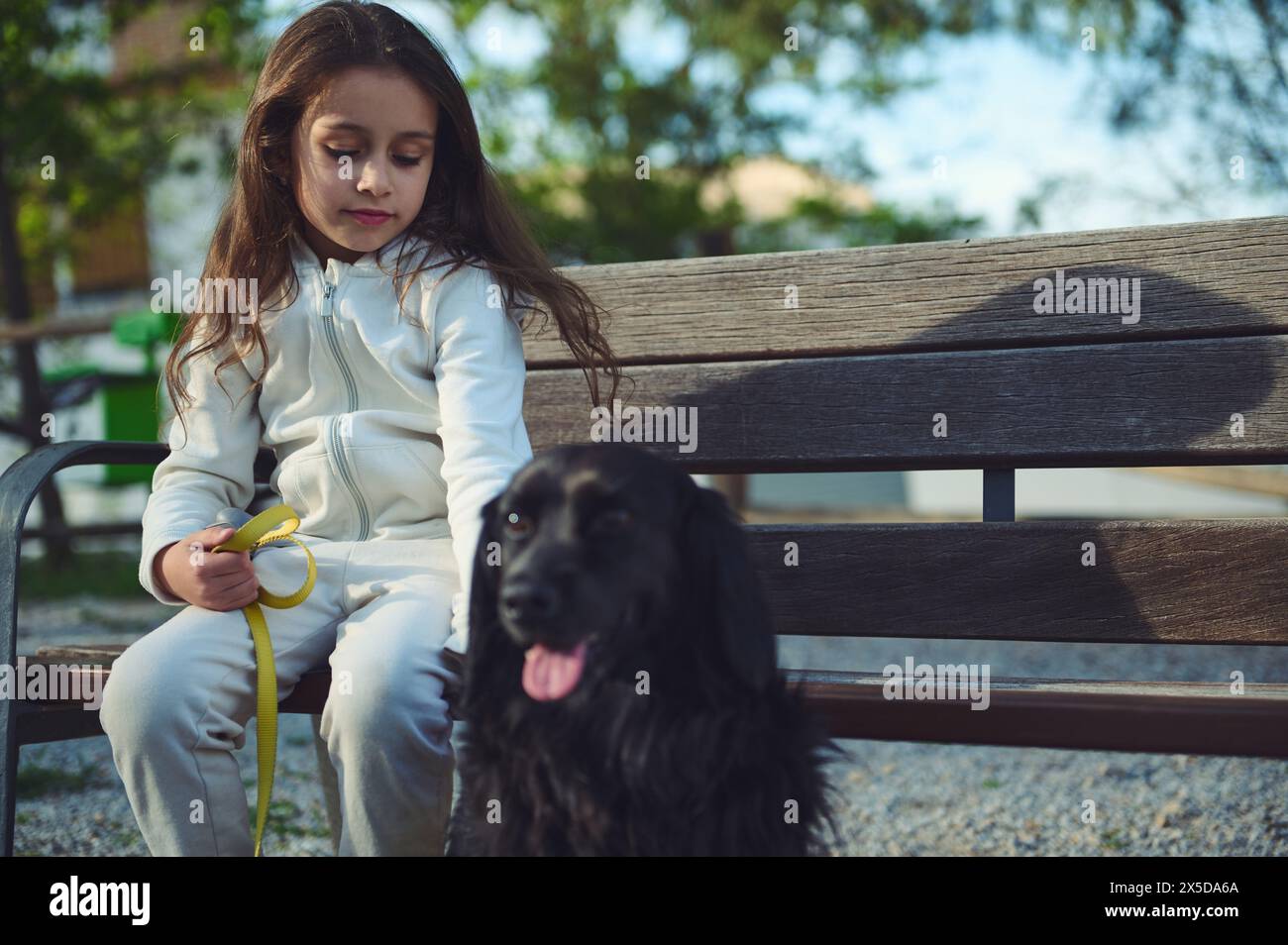 Portrait of a cute little child girl and her pet, cocker spaniel on the ...