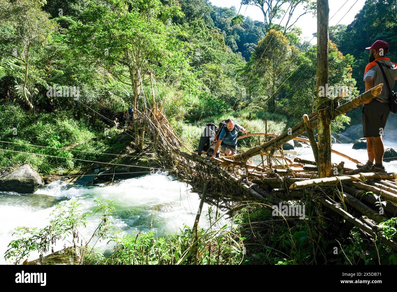 Trekkers crossing a wooden bridge on the Kokoda Track, Papua New Guinea ...