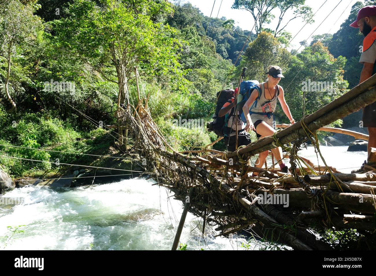 Trekkers crossing a wooden bridge on the Kokoda Track, Papua New Guinea ...