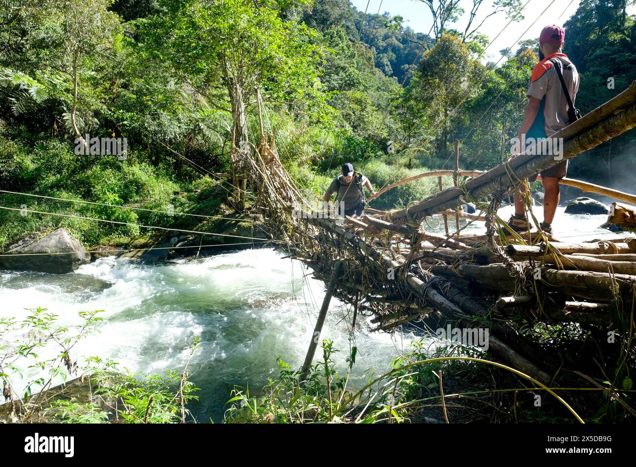 Trekkers crossing a wooden bridge on the Kokoda Track, Papua New Guinea ...