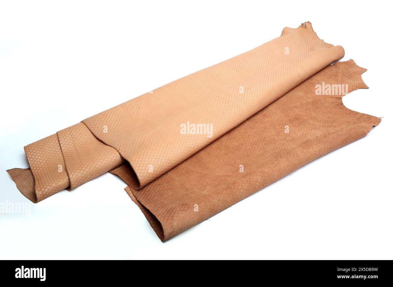 genuine leather roll isolated on white background Stock Photo - Alamy
