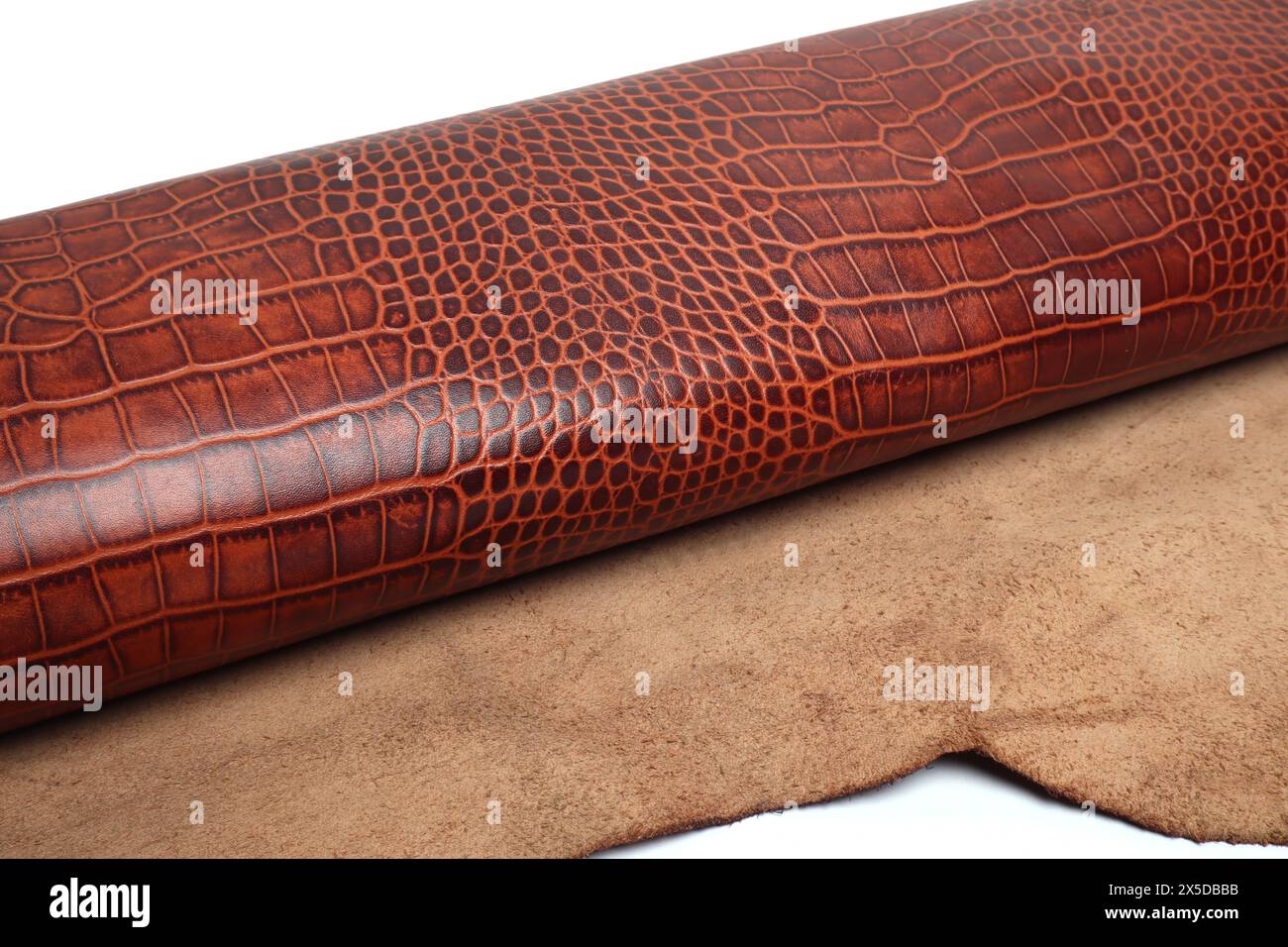 genuine leather roll isolated on white background Stock Photo - Alamy