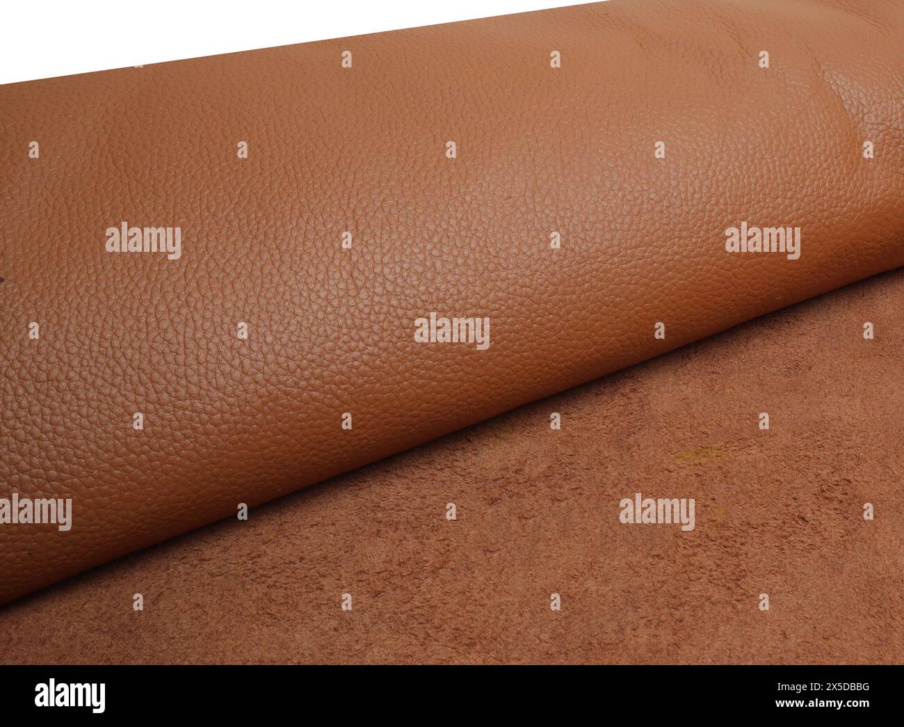 genuine leather roll isolated on white background Stock Photo - Alamy
