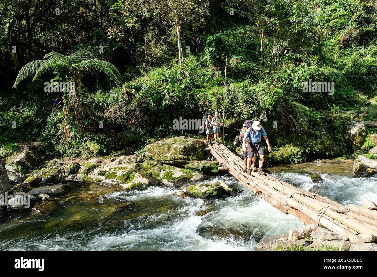 Trekkers crossing a wooden bridge on the Kokoda Track, Papua New Guinea ...