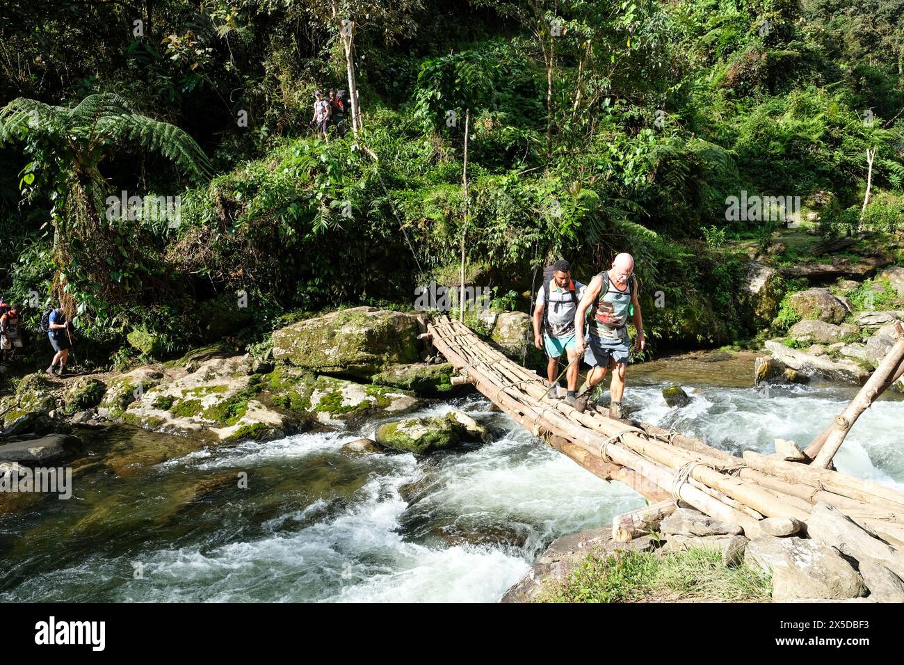 Trekkers crossing a wooden bridge on the Kokoda Track, Papua New Guinea ...